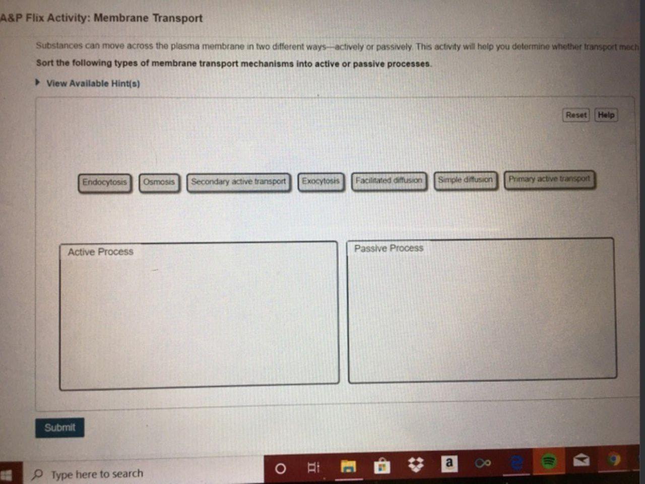 Solved A&P Flix Activity: Membrane Transport Substances can | Chegg.com Solved A&P Flix Activity: Membrane Transport Substances can | Chegg.com