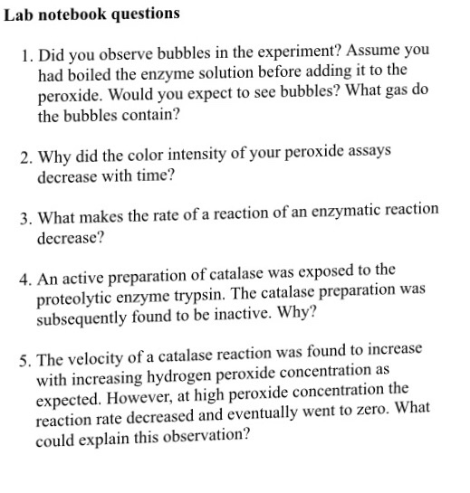 Solved Did you observe bubbles in the experiment? Assume you | Chegg.com