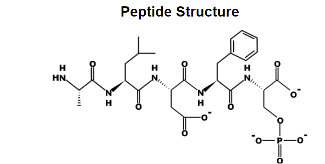 Solved Label ALL alpha-carbons (with an alpha)Label ALL | Chegg.com