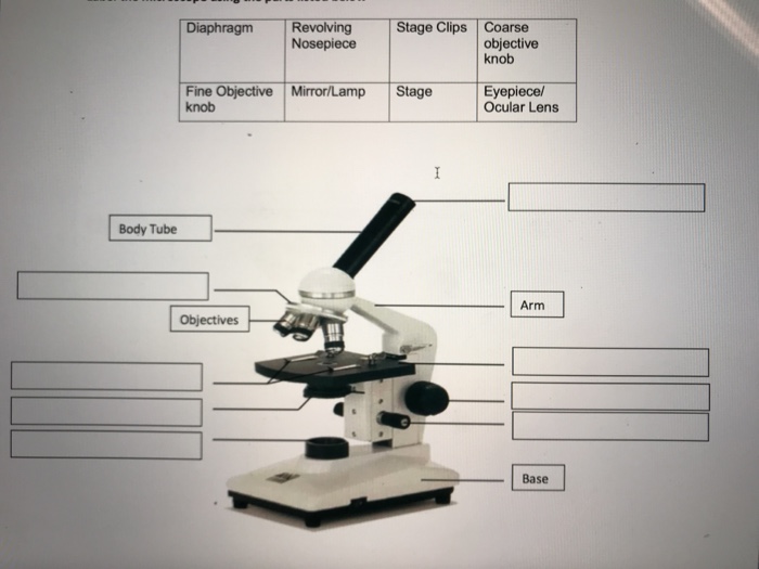Solved Revolving Stage Clips Coarse Nosepiece objective knob | Chegg.com