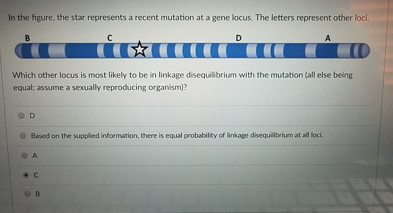 Solved In the figure, the star represents a recent mutation | Chegg.com