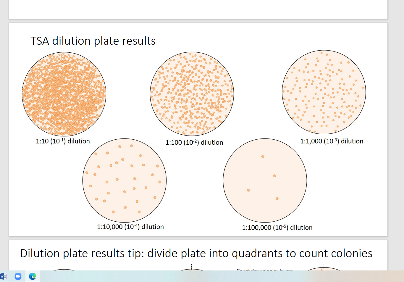 Solved Quantitative Urine Culture and Identification of | Chegg.com
