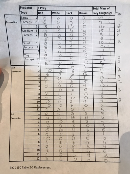 Based on the chart, which predator type eventually | Chegg.com