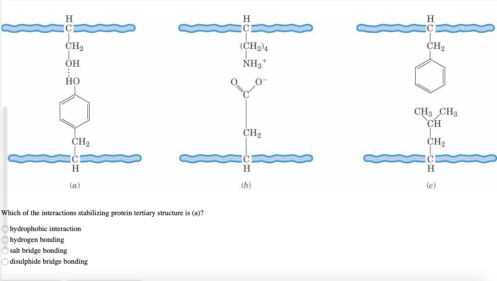 Solved H H CH2 (CH2)4 СH NH3 + ОН : но CHз CHз CH CH2 CH2 | Chegg.com