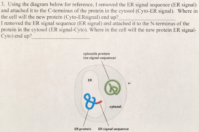 Solved 3. Using the diagram below for reference, I removed | Chegg.com