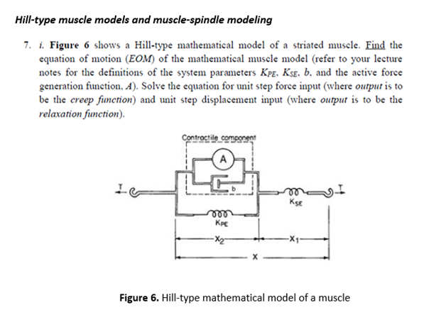 Hill-type muscle models and muscle-spindle modeling | Chegg.com