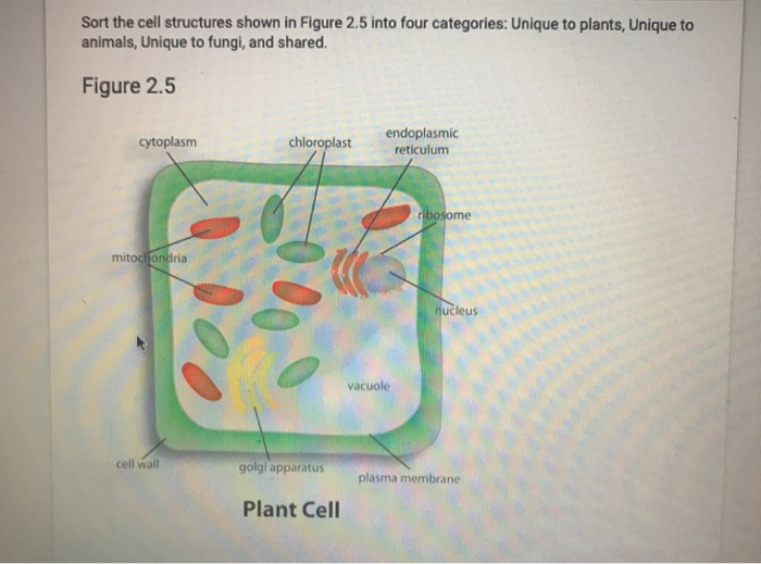 Solved Sort the cell structures shown in Figure 2.5 into | Chegg.com