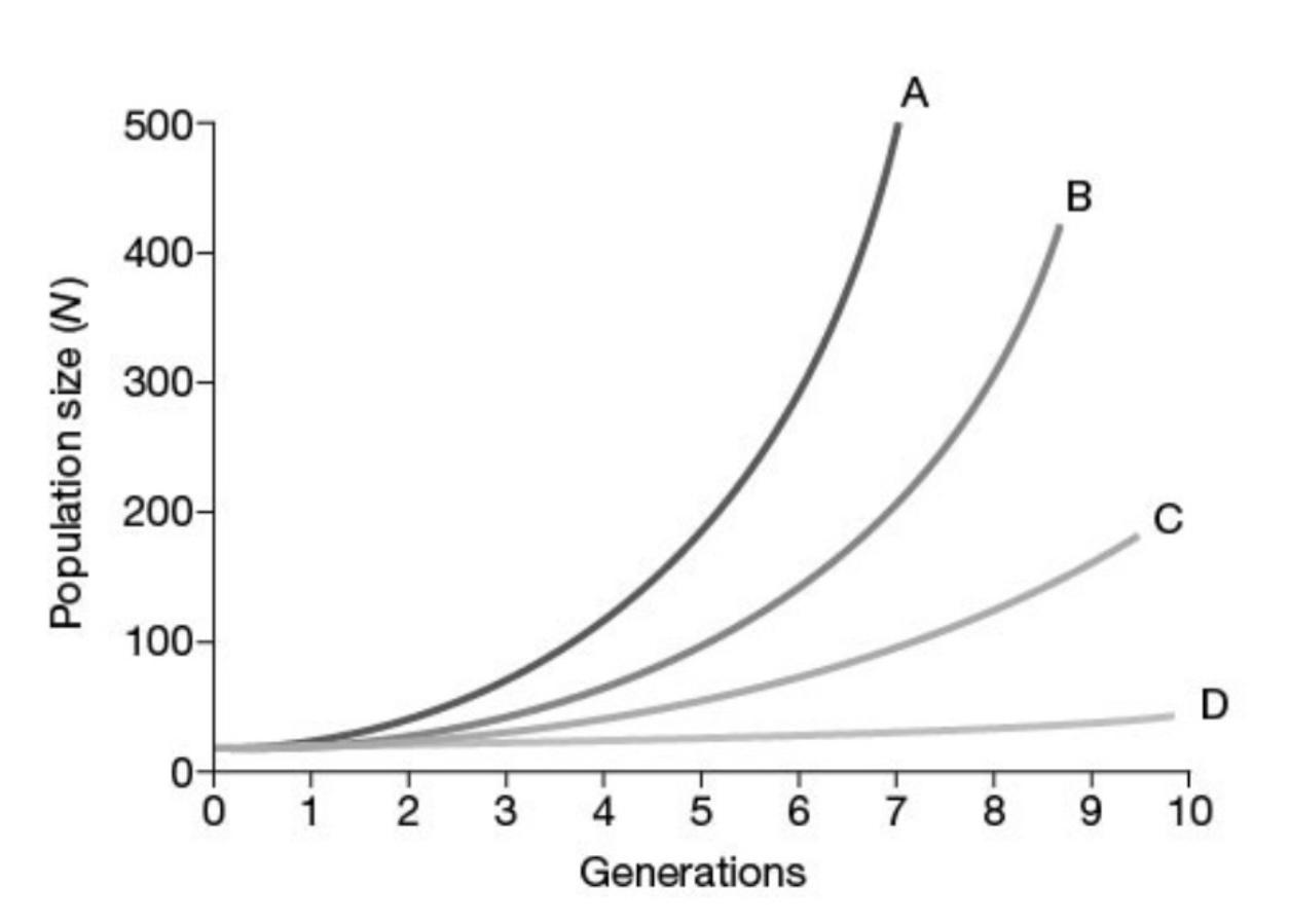 Solved A) Which of the lines in the figure above represent | Chegg.com