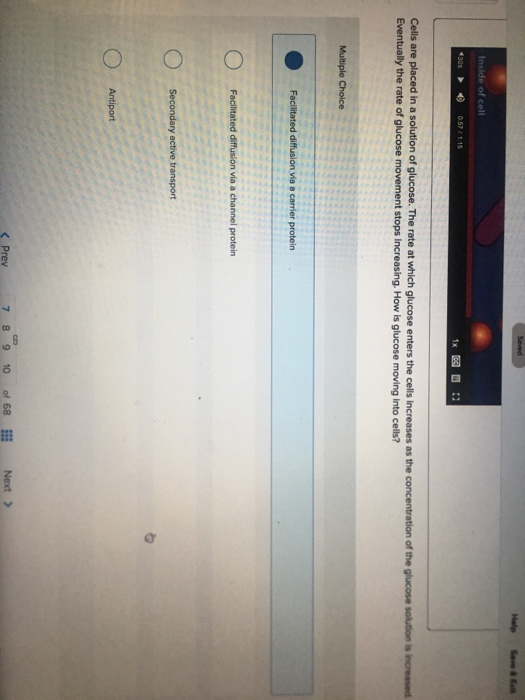 Solved Facilitated diffusion is used to transport Multiple | Chegg.com