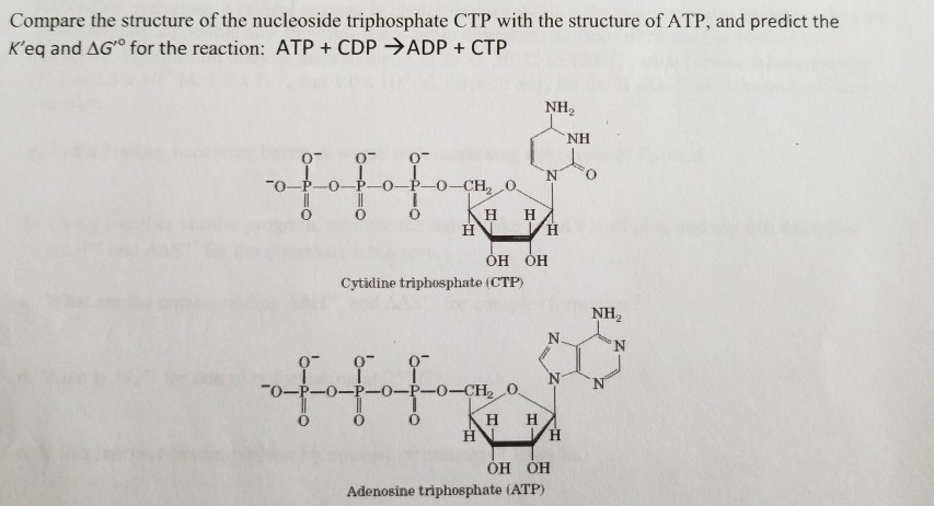 Solved Compare the structure of the nucleoside triphosphate | Chegg.com