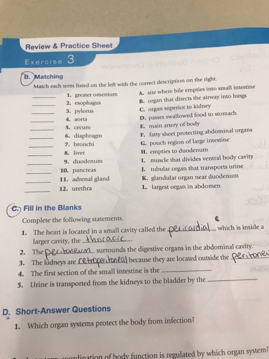 Solved Review & Practice Sheet Exercise atching Match each | Chegg.com