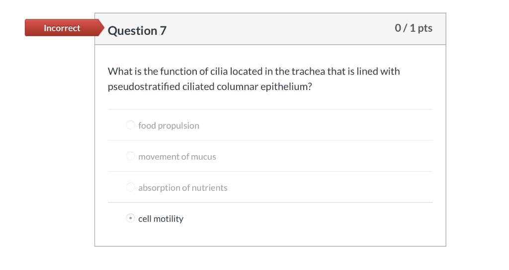 Solved 0/1pts Incorrect Question 7 What is the function of | Chegg.com
