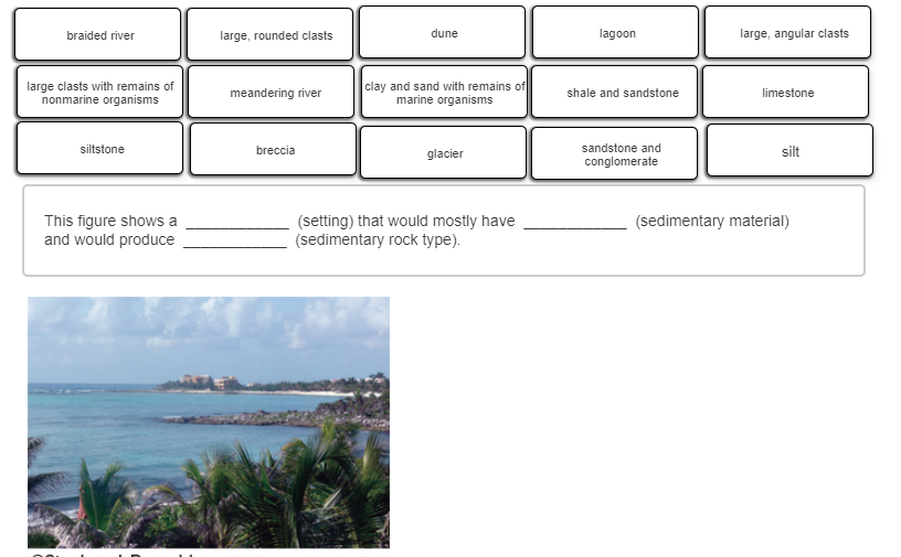 Solved sand with pieces of shells large, angular clasts | Chegg.com
