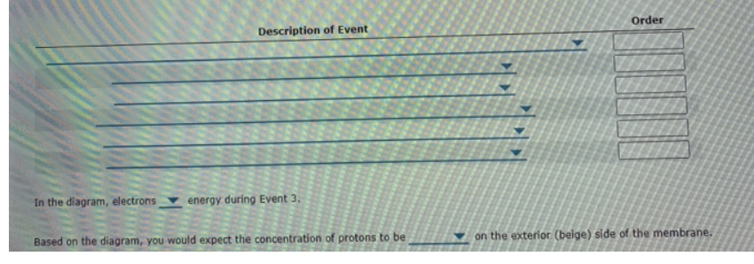 Solved The following table summarizes the key events of | Chegg.com