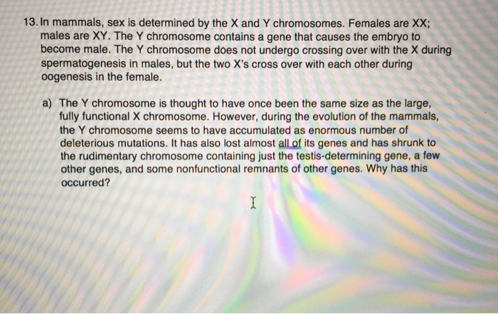 Solved In Mammals Sex Is Determined By The X And Y
