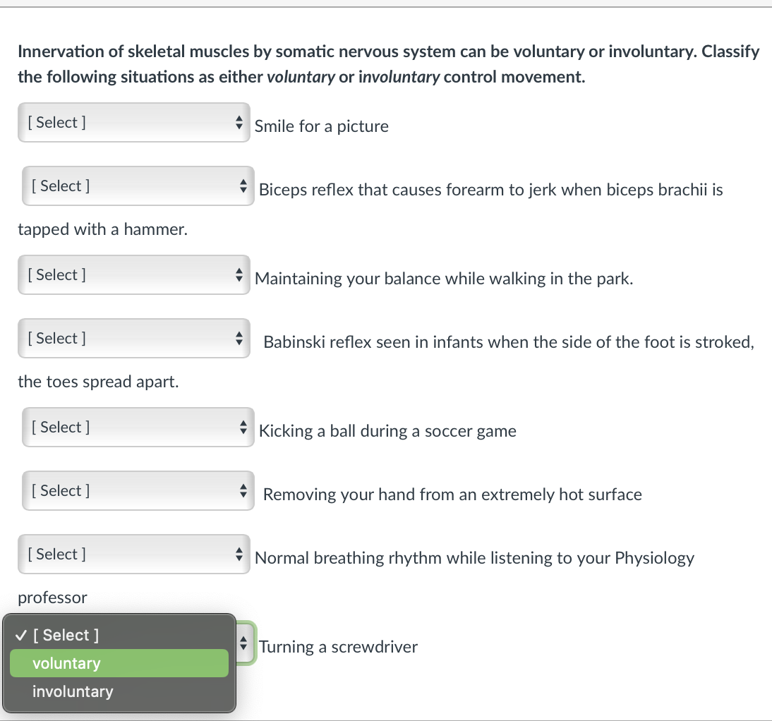 Solved Innervation of skeletal muscles by somatic nervous | Chegg.com