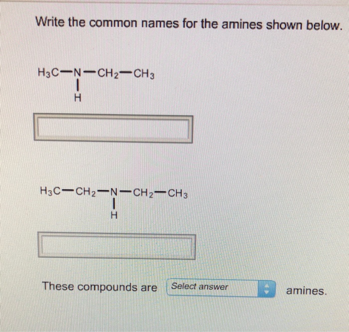 Solved Write the common names for the amines shown below. | Chegg.com