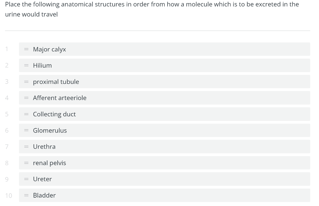 Solved Place the following anatomical structures in order | Chegg.com