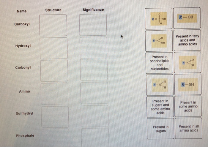 Solved Complete the following table by dragging the name of | Chegg.com