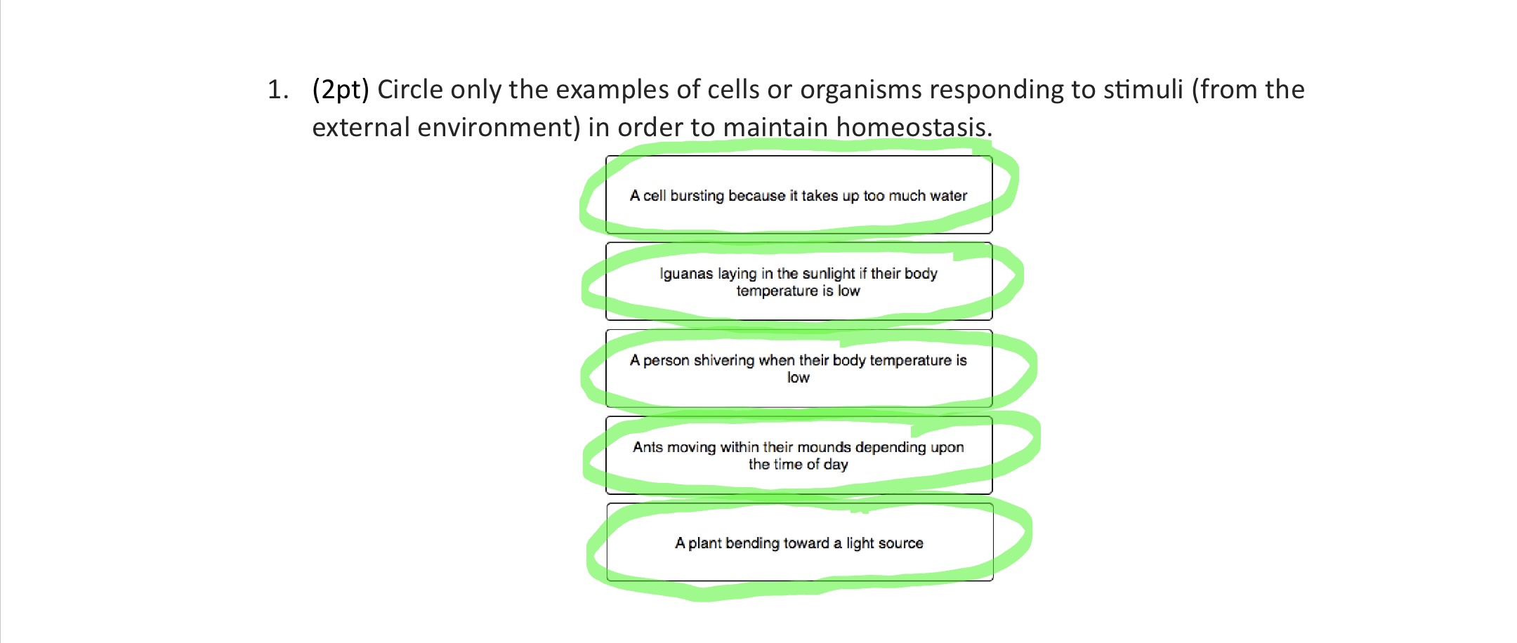 Solved 1. (2pt) Circle only the examples of cells or | Chegg.com