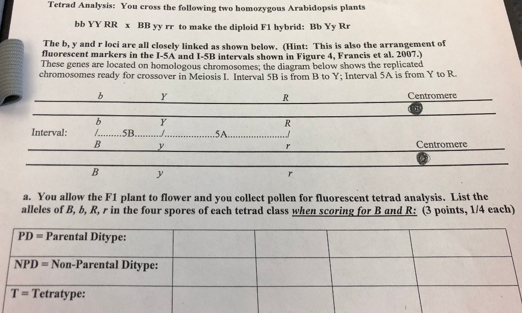 Solved Tetrad Analysis: You cross the following two | Chegg.com