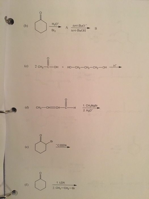 Solved H2O tert-Buo tert-BuOH Br2 -H'-- (c) 2 CH3-c-OH + | Chegg.com