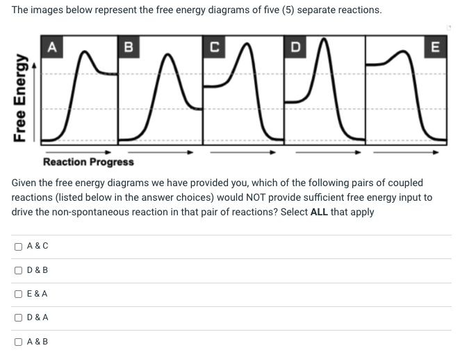 Solved The images below represent the free energy diagrams | Chegg.com