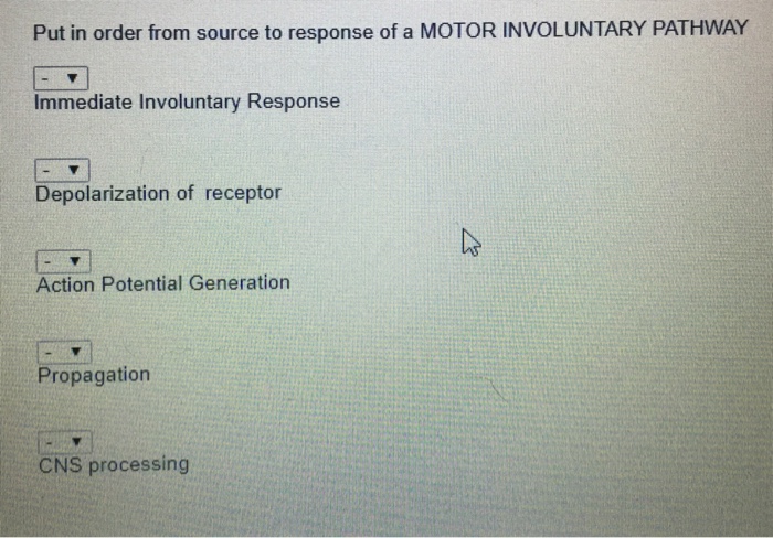 Solved Put in order from source to response of a MOTOR | Chegg.com