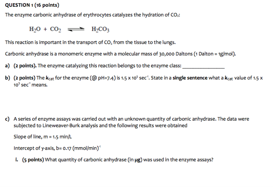 Solved QUESTION 1 (16 points) The enzyme carbonic anhydrase | Chegg.com