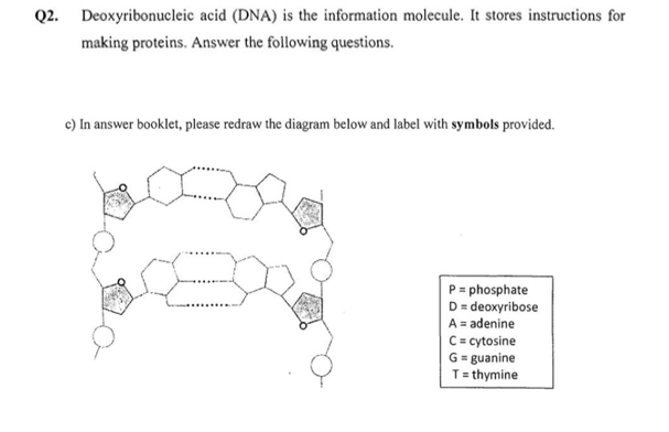 Solved 2. Deoxyribonucleic acid (DNA) is the information | Chegg.com