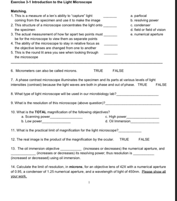 Solved Exercise 3-1 Introduction to the Light Microscope | Chegg.com