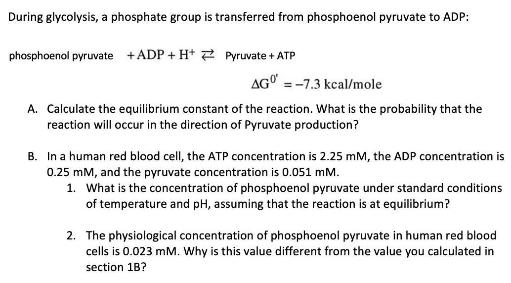 Solved During glycolysis, a phosphate group is transferred | Chegg.com