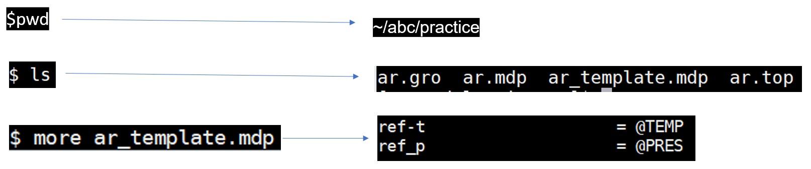 Solved Bash Scripting With Sed Command 5064