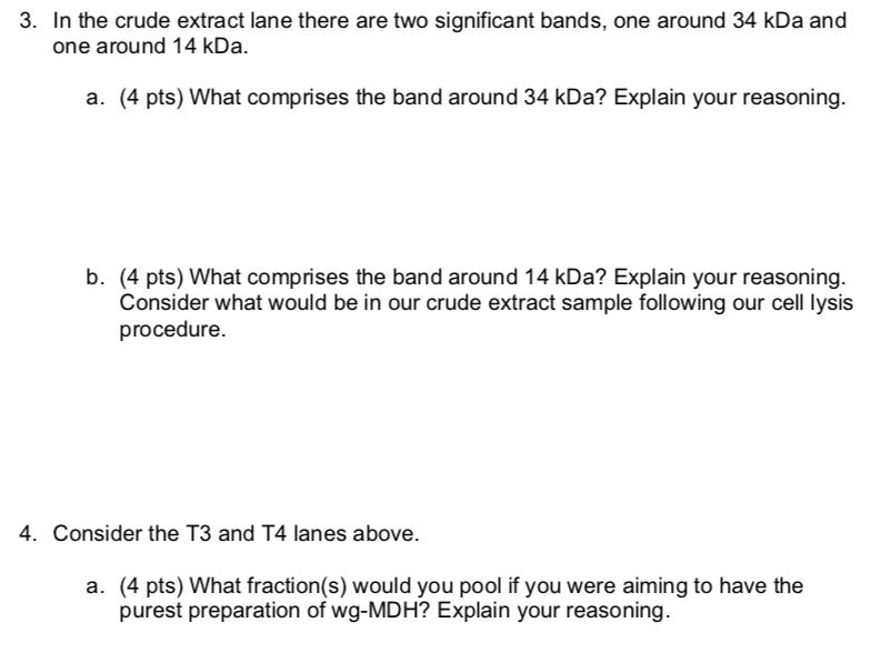 Solved 2. (8 pts) Annotate the gel image below. Your | Chegg.com