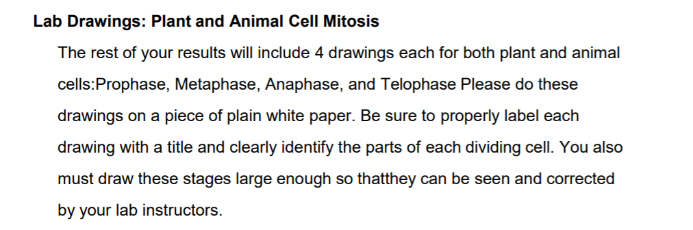 Solved Lab Drawings: Plant and Animal Cell Mitosis The rest | Chegg.com