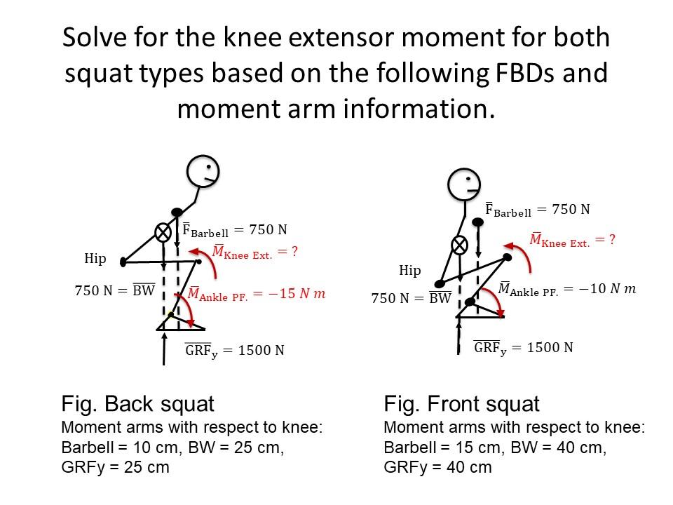 Solved Solve for the knee extensor moment for both squat | Chegg.com
