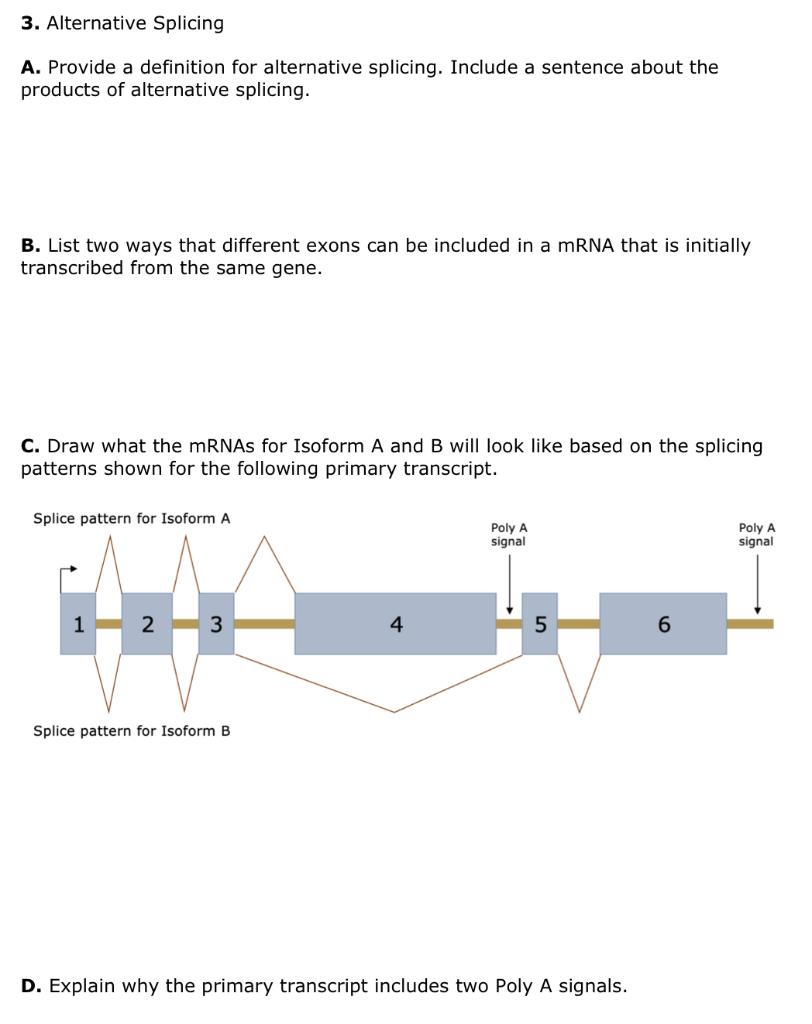 Solved A. Provide a definition for alternative splicing. | Chegg.com