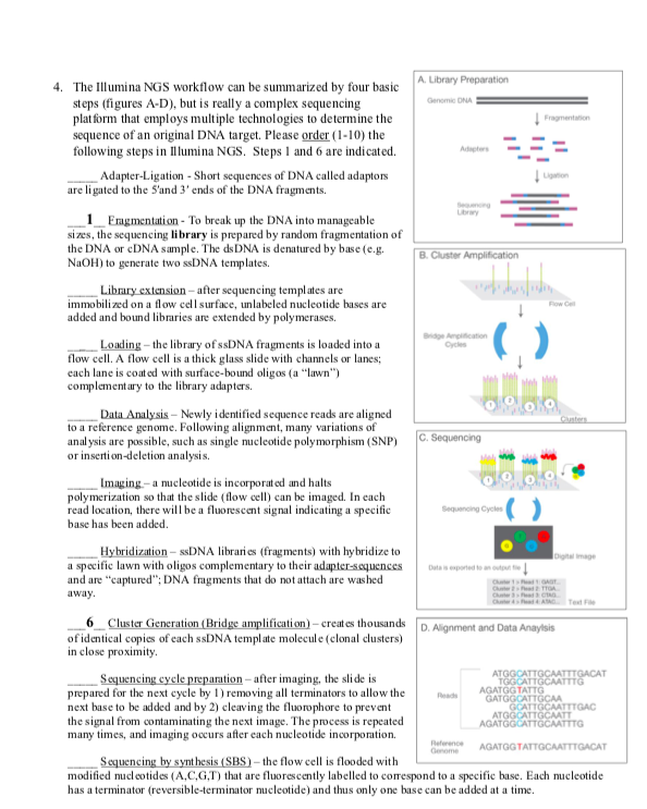 Solved A Library Preparation Genomic DNA 4. The Illumina NGS | Chegg.com