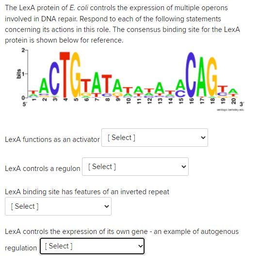 Solved The LexA protein of E. coli controls the expression | Chegg.com