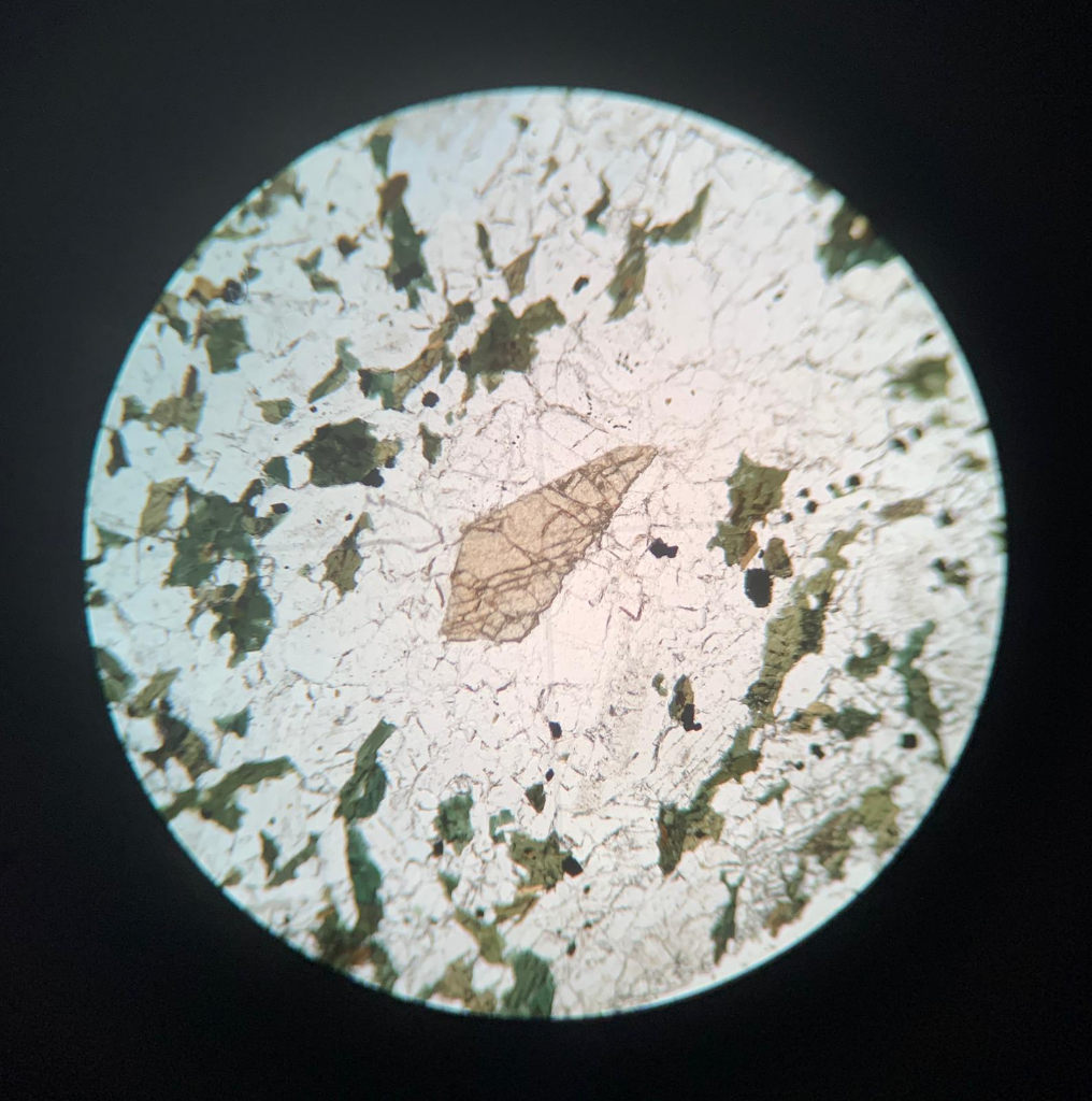 Solved What is the high-relief accessory mineral of this | Chegg.com