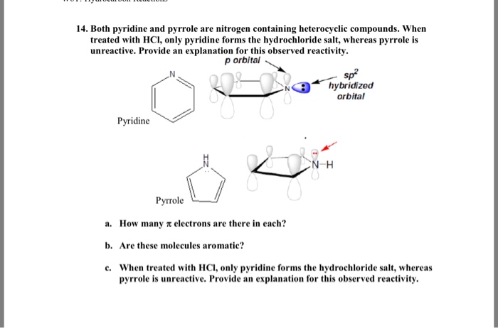 Solved 14. Both pyridine and pyrrole are nitrogen containing | Chegg.com