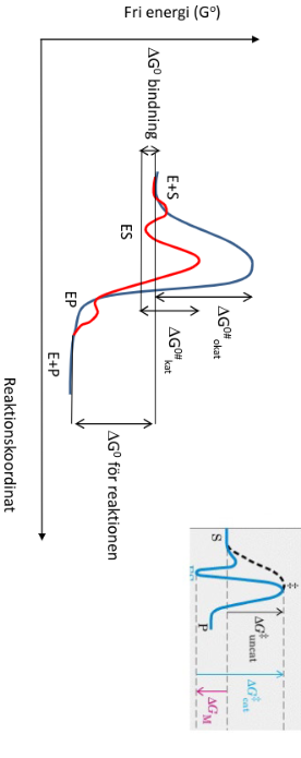 Solved I want you to edit the answer according to my | Chegg.com