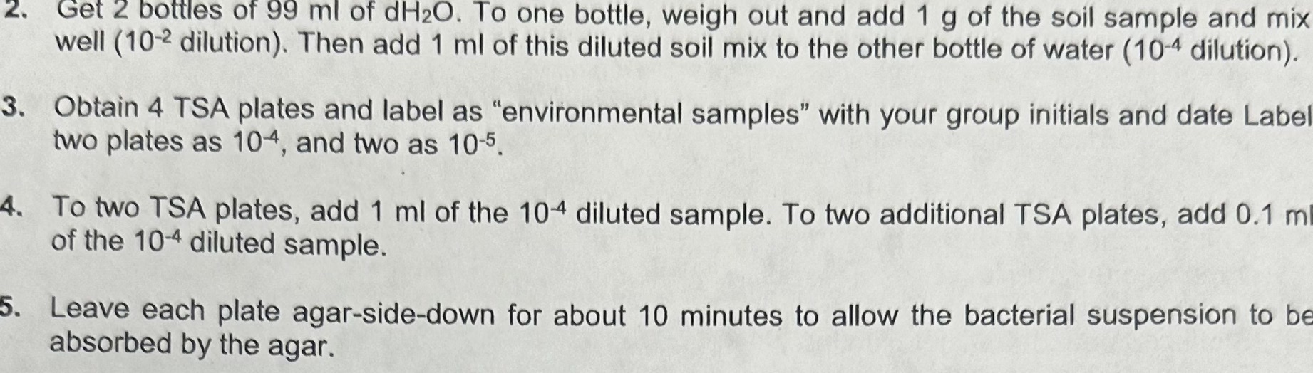 Solved Interactions between soil bacteria LabWhat | Chegg.com