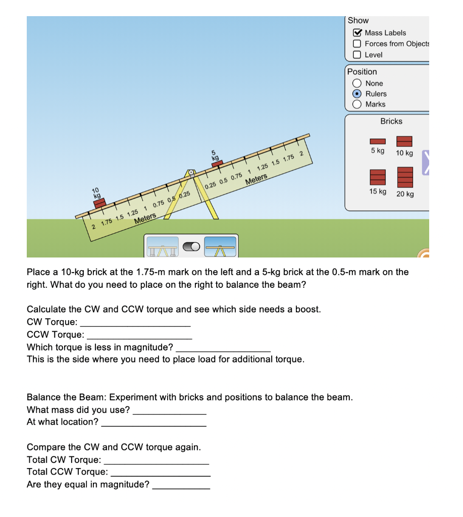 Solved Show Mass Labels O Forces from Objects O Level | Chegg.com