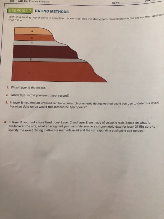 Solved 50 LAB 13| Primate Evolution EXERCISE 7 DATING | Chegg.com