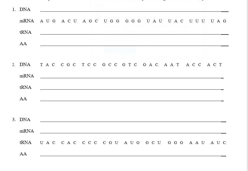 Solved 1. DNA mRNA AUG A CU A G C UGG G G G U AU UAC U U U U | Chegg.com