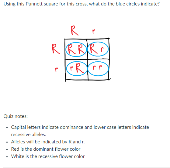 Punnett Square Using R