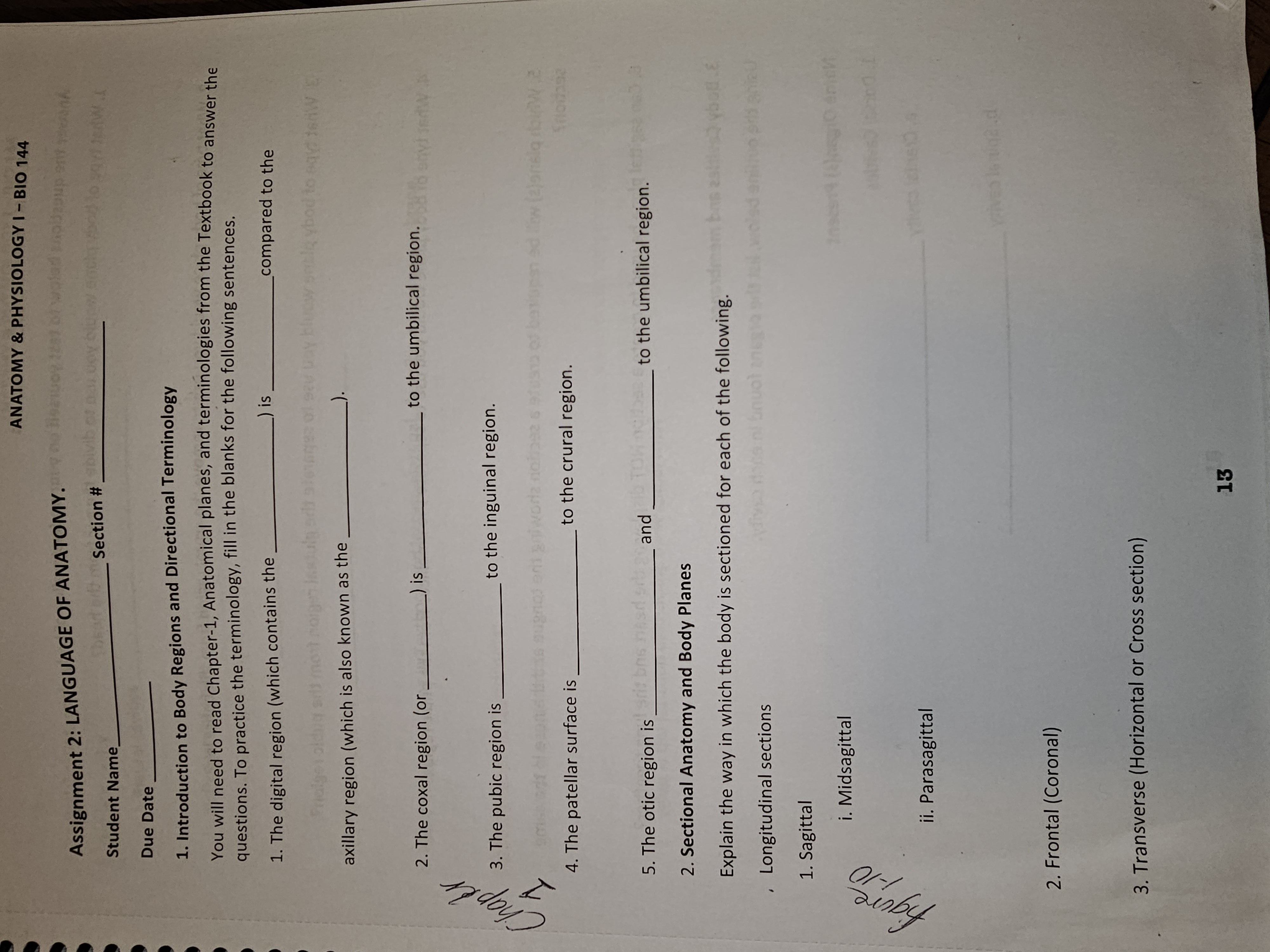 Solved Assignment 2: LANGUAGE OF ANATOMY. Student Name | Chegg.com