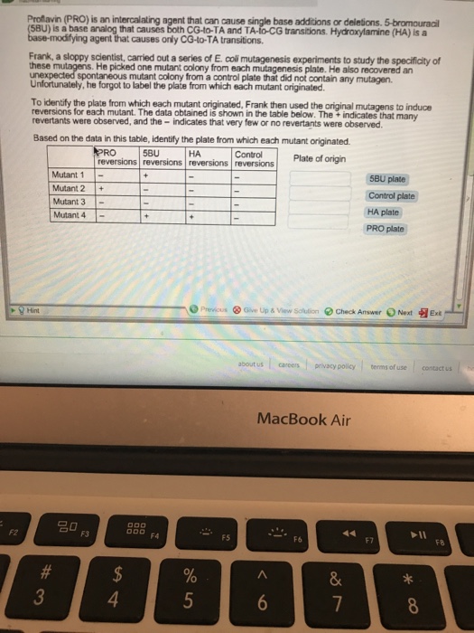 Solved Proflavin (PRO) is an intercalating agent that can | Chegg.com