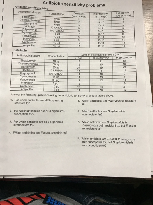 solved-antibiotic-sensitivity-problems-antibiotic-chegg